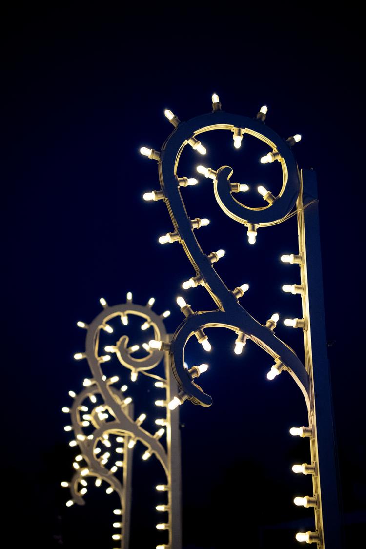 Festival lights and Luminaries Workshop | Canne Bianche